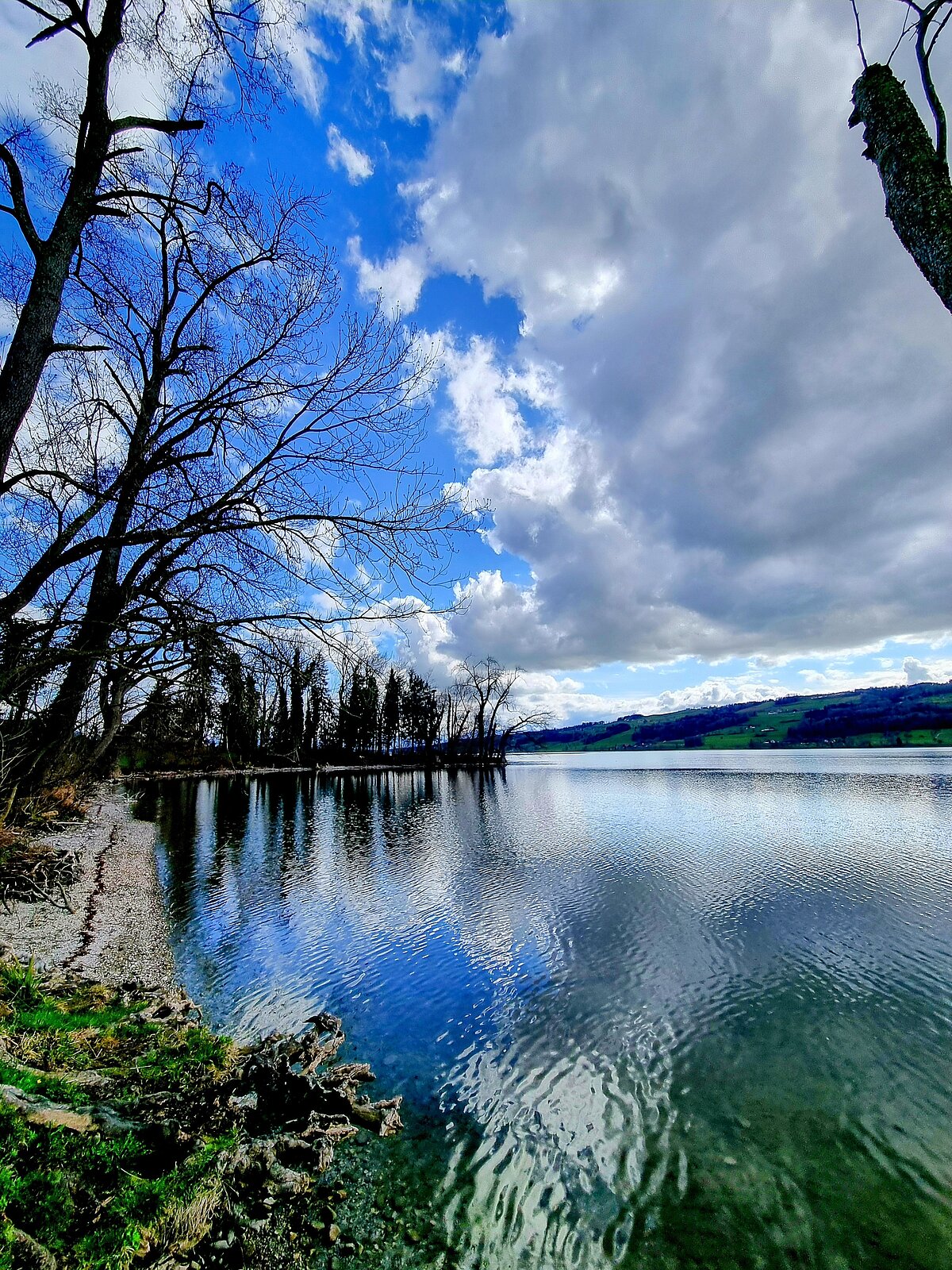 Gelfingen am Baldeggersee - Seetaler Bote